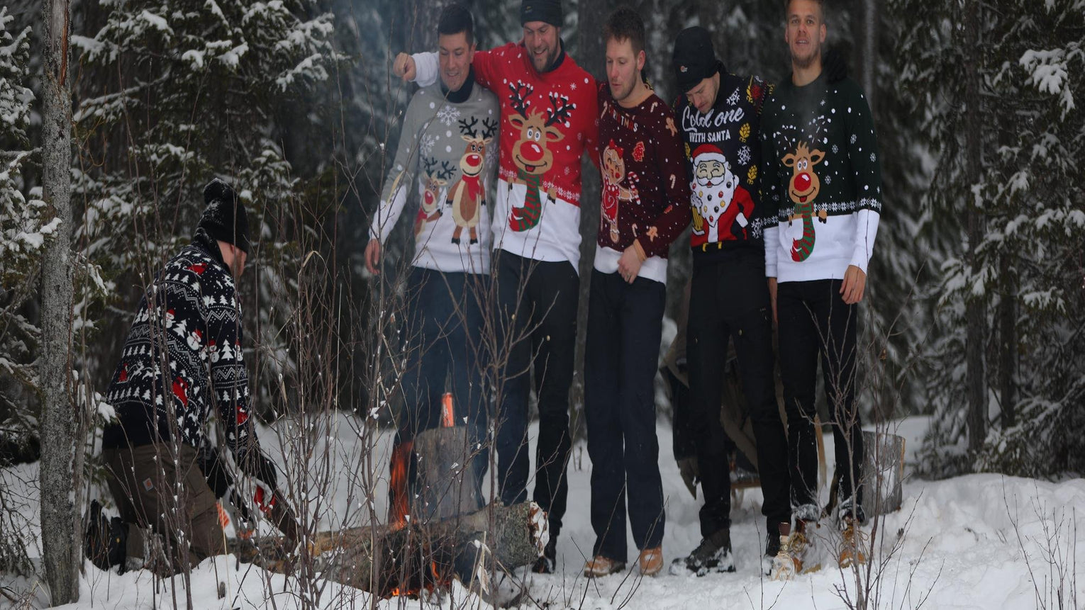 Come far fiorire la stella di natale - guida pratica di luce ...